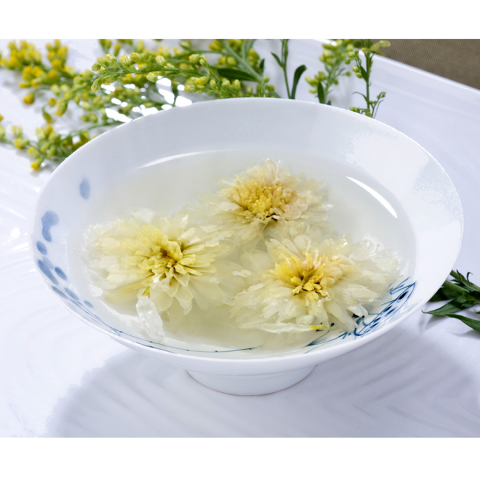 Ju Hua Flower | Best Flower Site