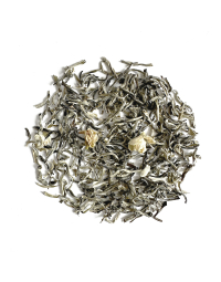 How to Make Cold Brew Jasmine Tea at Home | Teasenz